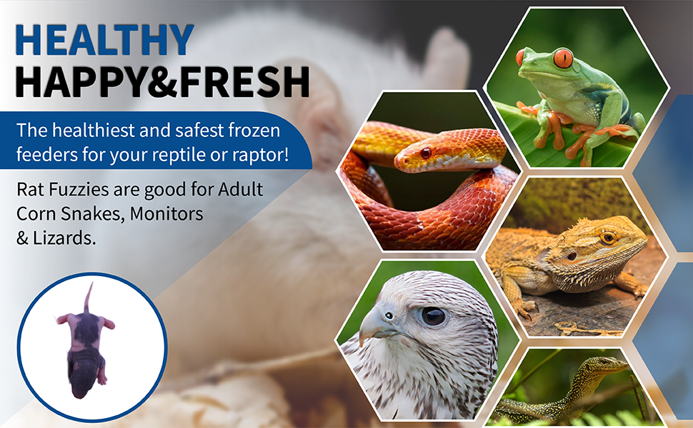 Rat Fuzzies for Reptiles - Premium Fresh Frozen Snake Food Feeders ...
